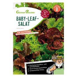Gärtner Pötschke Saatband 6 m Baby-Leaf-Salat