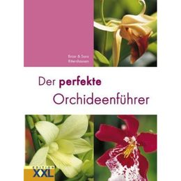 Edition XXL Der perfekte Orchideenführer - Sara Rittershausen, Brian Rittershausen, Gebunden