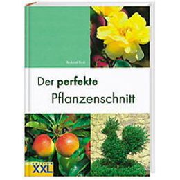 Edition XXL Der perfekte Pflanzenschnitt - Richard Bird, Gebunden