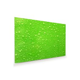 Primedeco Glasbild Wandbild Regentropfen auf grün mit Aufhängung