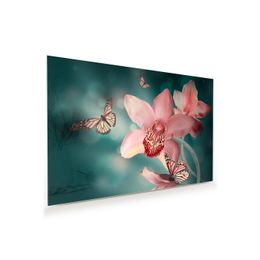 Primedeco Glasbild Wandbild Orchideen am Wasser mit Aufhängung