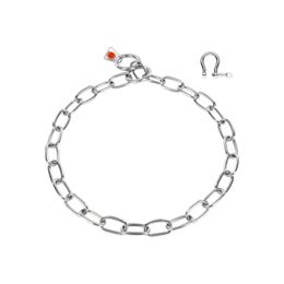 HS Sprenger SPRENGER Hunde-Halsband, Edelstahl Rostfrei