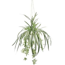 Kunstpflanze Grünlilie, my home, Höhe 75 cm, Mit Hängeampe, künstliche Wasserlilie, grün|weiß