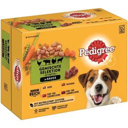 Pedigree Hundefutter Adult im Nassfutter Multipack, Gemischte Selektion in Gelee 12x100g