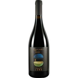 La Valle della Luna 2019 Syrah Sicilia DOC trocken