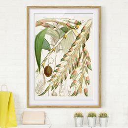 MICASIA Bild mit Rahmen - Vintage Illustration Tropische Blüten iii Größe HxB: 24cm x 18cm, Rahmen: Eiche