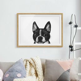 MICASIA Bild mit Rahmen - Illustration Hund Boston Schwarz Weiß Malerei Größe HxB: 50cm x 70cm, Rahmen: Eiche