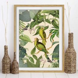 MICASIA Bild mit Rahmen - Vintage Collage - Papageien im Dschungel Größe HxB: 55cm x 40cm, Rahmen: Eiche