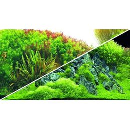HOBBY Aquariendeko Fotorückwand Planted River/Green Rock 100x50 cm