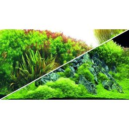 HOBBY Aquariendeko Fotorückwand Planted River/Green Rock 120x50 cm