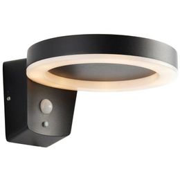 Endon - Ebro Moderne solarbetriebene runde Ring-LED-Wandleuchte Strukturiertes Schwarz, PIR-Bewegungs- und Tag-Nacht-Sensoren, Warmweiß, IP44