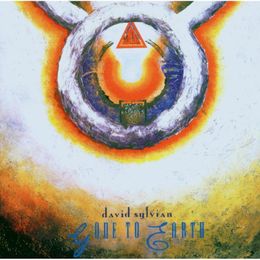 Virgin Gone To Earth - David Sylvian. (CD)