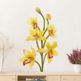Wandtattoo Blumen No.173 Orchidee Gelb Wandsticker florale Wandaufkleber in S-XXL