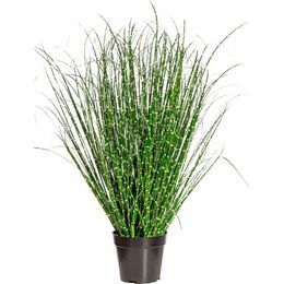 Kunstgras Miscanthus Zebrinus, Creativ green, Höhe 80 cm, grün