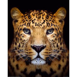 SONSTIGE BILD LEOPARD FACE