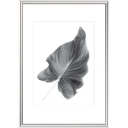 SONSTIGE Bilderrahmen ELEGANCE silber (BH 76x106 cm)