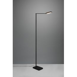 Trio Stehleuchte PAVIA LED schwarz (BH 16x130,50 cm)