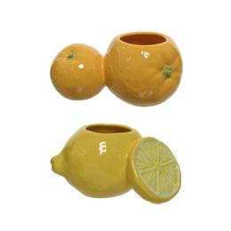 SONSTIGE Pflanzgefäß CITRUS