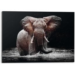 SONSTIGE Bild ELEPHANT IN LAKE
