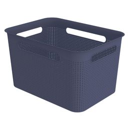 Rotho Box BRISEN gross (LBH 36x26,20x21,10 cm)