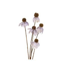 SONSTIGE Kunstblume ECHINACEA lila (BHT 9x92x3 cm)