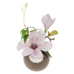 SONSTIGE Kunstpflanze MAGNOLIE (H 15 cm) H 15 cm bunt Pflanze Kunstblume Zimmerpflanze