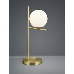 SONSTIGE TRIO-Leuchten Tischleuchte PURE (BH 18x52 cm) BH 18x52 cm gold Tischlampe Klemmleuchte Schreibtischleuchte Schreibtischlampe