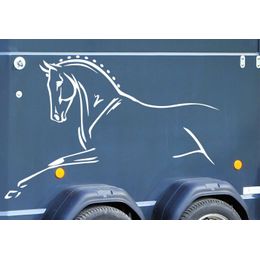 Wandtattoodesign Aufkleber Autoaufkleber Aufkleber für Pferdeanhänger Dressurpferd 90x60cm