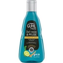 Guhl Haarpflege Shampoo Men 3in1 Frische & Pflege Belebendes Shampoo