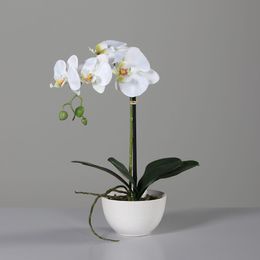 SONSTIGE Kunstblume Orchidee (H 40 cm)
