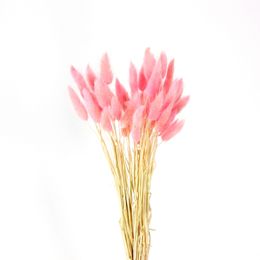 SONSTIGE Kunstpflanze Lagurus (H 50 cm)