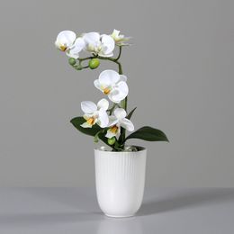 SONSTIGE Kunstblume Orchidee (H 31 cm)