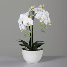 SONSTIGE Kunstblume Orchidee (H 48 cm)