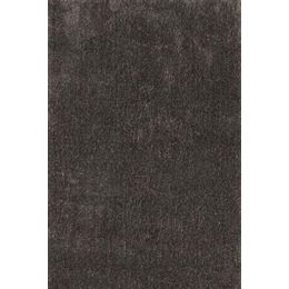 SONSTIGE Teppich FIRE mix grau (LB 120x170 cm)