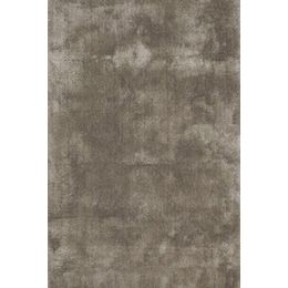 SONSTIGE Teppich FIRE uni silber (LB 80x150 cm)