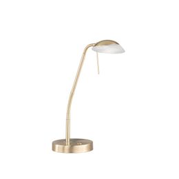 SONSTIGE FISCHER & HONSEL Tischleuchte POOL TW (LBH 16x16x60 cm) LBH 16x16x60 cm gold Tischlampe Klemmleuchte Schreibtischleuchte Schreibtischlampe