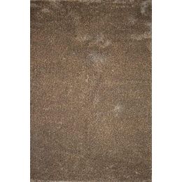 SONSTIGE Teppich FIRE mix beige (LB 80x150 cm)