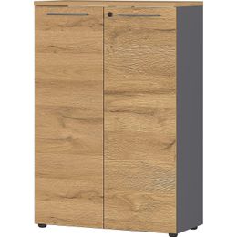 Germania Aktenschrank AGENDA (BHT 80x120x40 cm)