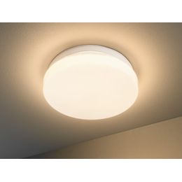 Casa Nova LED-Deckenleuchte CLEAN (DH 33x6 cm)