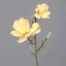 SONSTIGE Kunstblume Magnolie (H 55 cm)