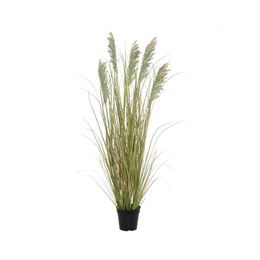 SONSTIGE Kunstpflanze GRAS (BL 40x40 cm)