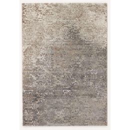 OCI Teppich BUTTERFLY ADMIRAL (240 x 290 cm)