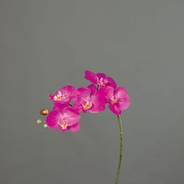 SONSTIGE Kunstblume Orchidee (H 52 cm)