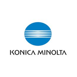 Konica Minolta DV-313K - Developer-kit Schwarz