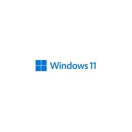 Microsoft Windows 11 Pro (Betriebssystem)