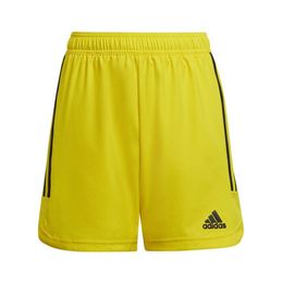 adidas Performance Sporthose Condivo 22 MD Short Kids