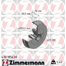 Zimmermann Bremstrommel Hinten Rechts Links für RENAULT Twingo II 1.5 dCi 75 90 1.2 TCe 100 Turbo 16V