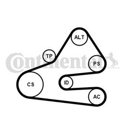 CONTINENTAL CTAM Keilrippenriemensatz (6PK1613K1) für VW Crafter 30-50 Audi A4