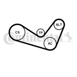 CONTINENTAL CTAM Keilrippenriemensatz (6PK1050K1) für VW Passat B6 Audi A3 Jetta