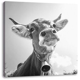 Pixxprint Leinwandbild Portrait einer Kuh